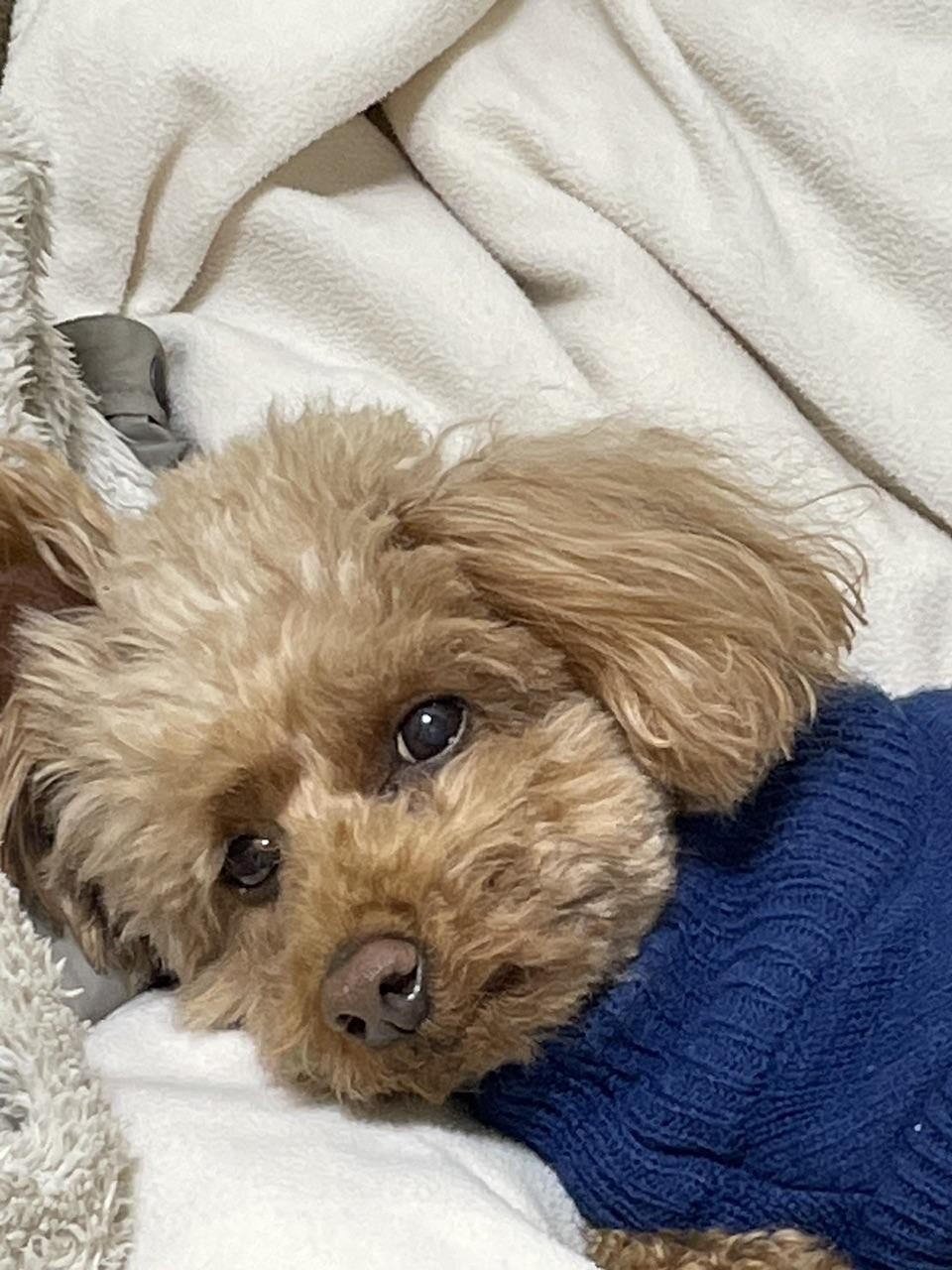 freddietのページ | YAMAP / ヤマップ