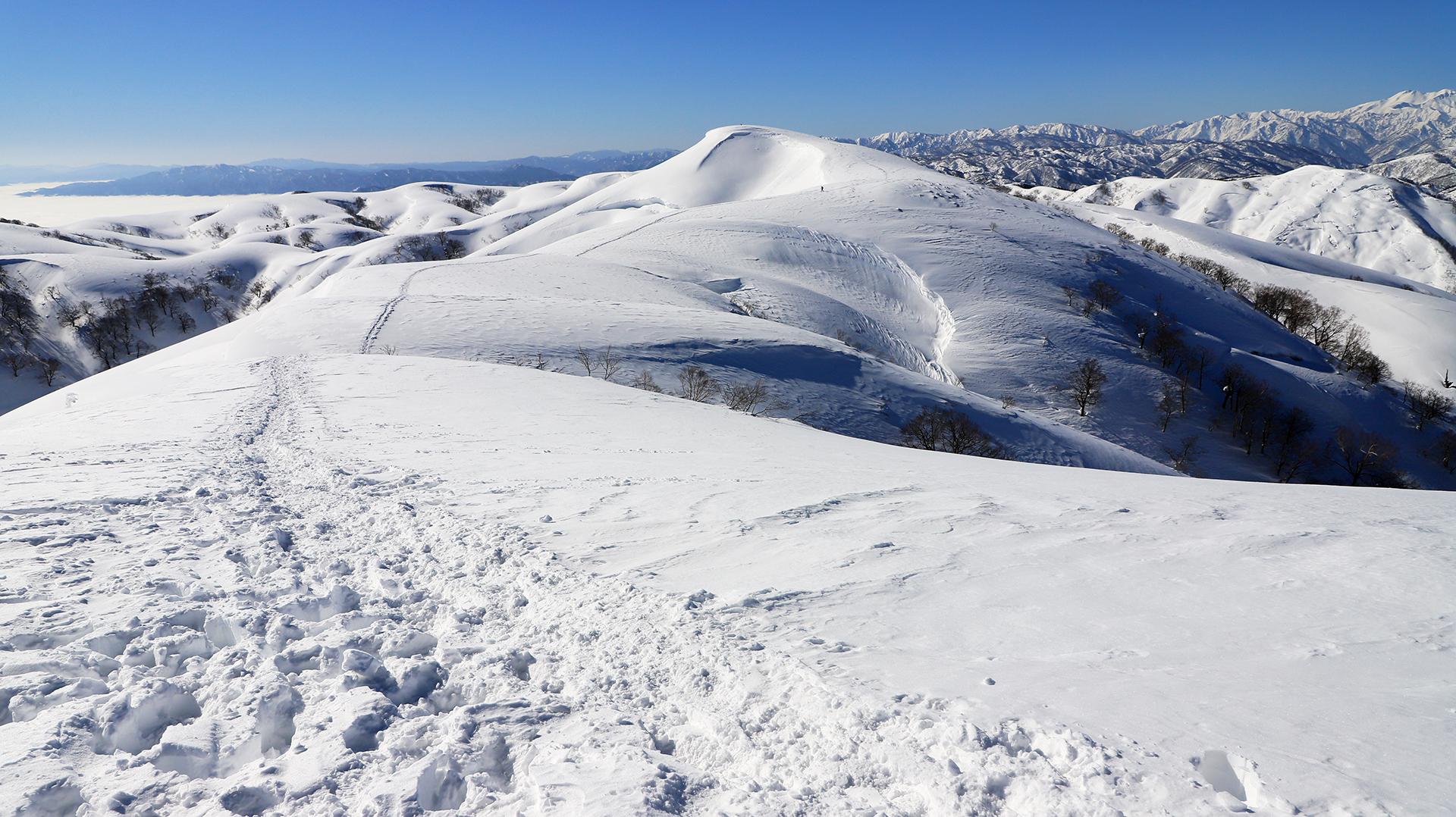 20250301_金剛堂山 / saka_masaさんの金剛堂山の活動データ | YAMAP / ヤマップ