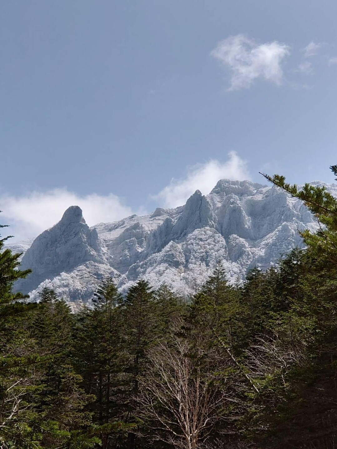 地蔵ノ頭・赤岳(八ヶ岳) / hana0910さんの八ヶ岳（赤岳・硫黄岳・天狗岳）の活動日記 | YAMAP / ヤマップ