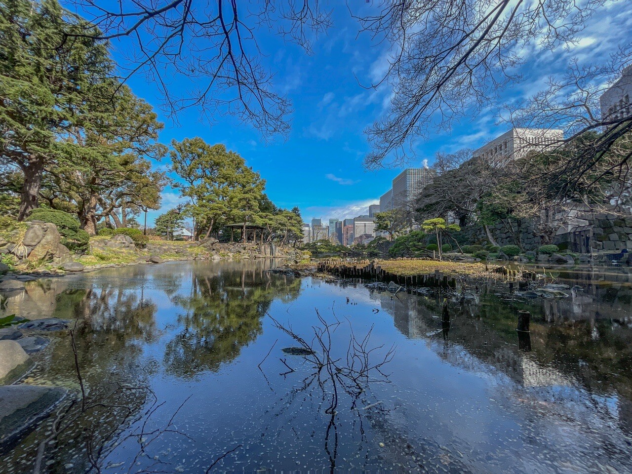 日比谷公園にて、 午前中隅田川から東京... / Italさんのモーメント | YAMAP / ヤマップ