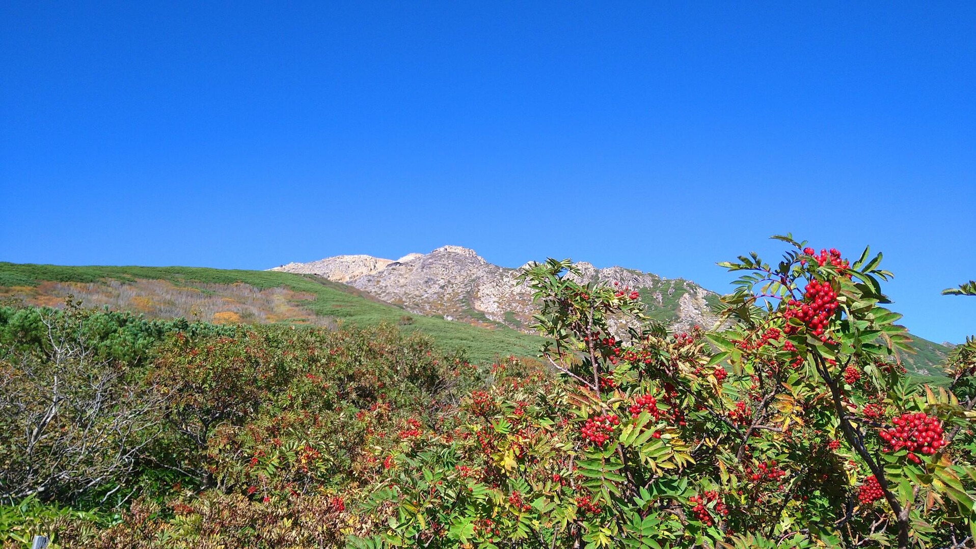御嶽山（剣ヶ峰） / junさんの御嶽山・継子岳・摩利支天山の活動データ | YAMAP / ヤマップ
