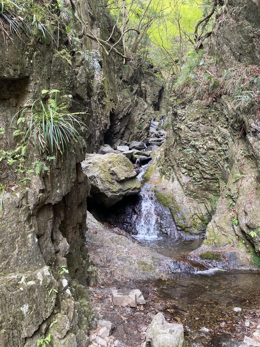 棒ノ嶺（棒ノ折山） / elieeさんの棒ノ折山（棒ノ嶺）の活動データ | YAMAP / ヤマップ