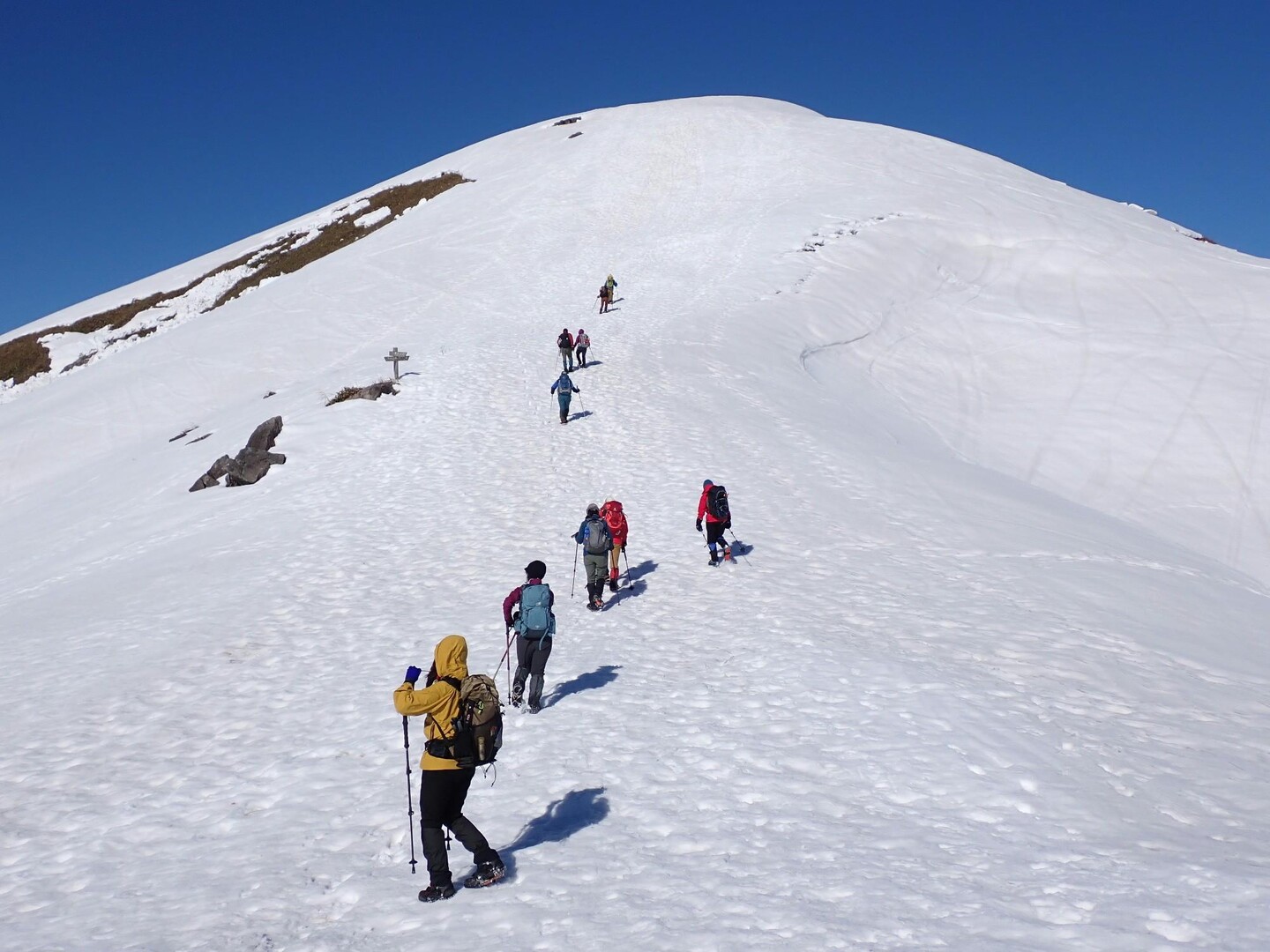 深入山 / SHINOさんの深入山の活動データ | YAMAP / ヤマップ