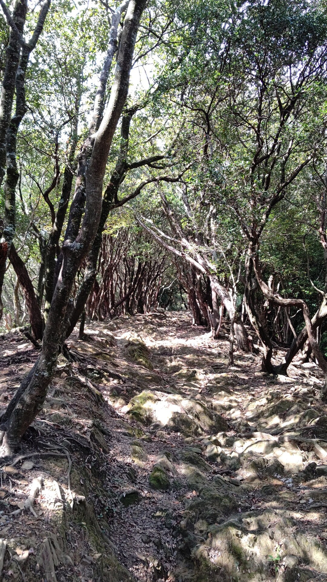 KAZUさんの投稿したフィールドメモ | YAMAP / ヤマップ