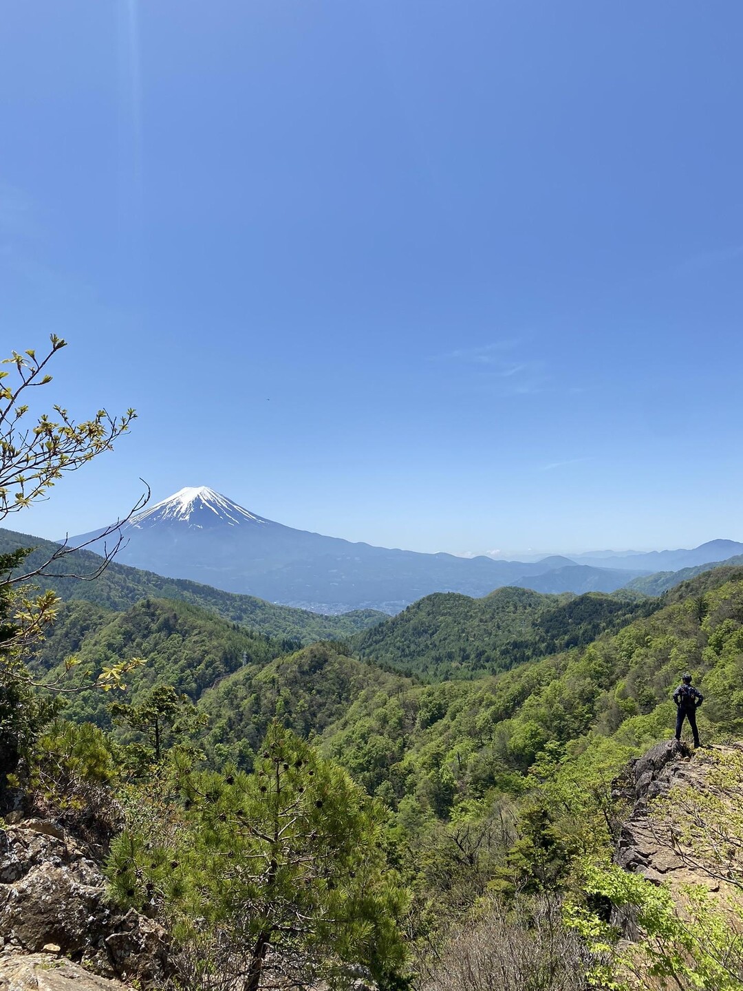 本社ヶ丸・清八山から三ッ峠山へ / akko0502さんの三ッ峠山・本社ヶ丸・鶴ヶ鳥屋山の活動データ | YAMAP / ヤマップ