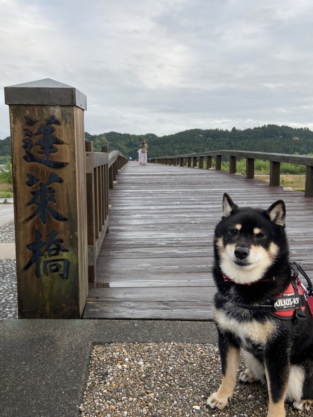 餃子🥟食べたーい🐾 / えみクロさんのモーメント | YAMAP / ヤマップ