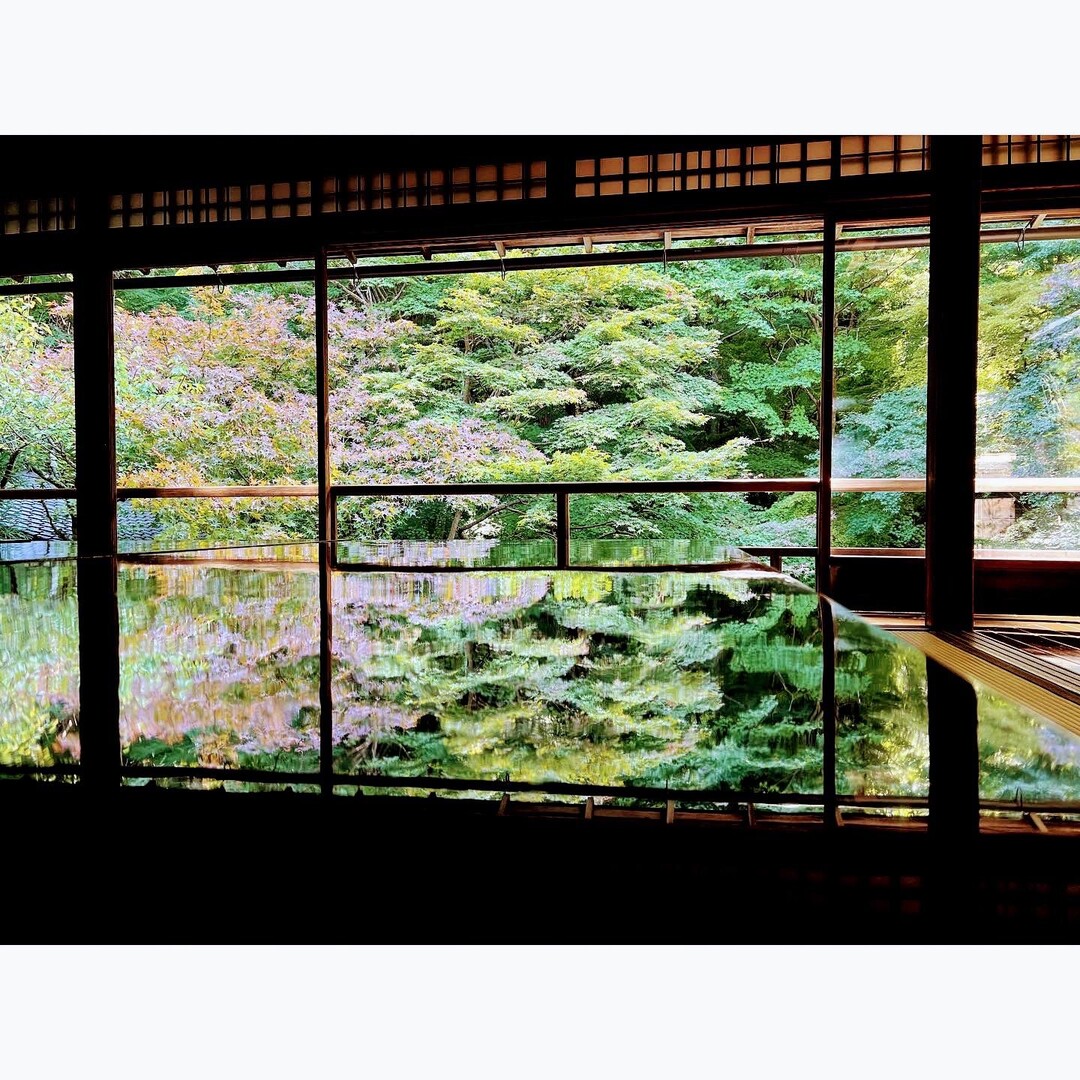 瑠璃光院のリフレクション 季節を変えてま... / かぎしっぽさんのモーメント | YAMAP / ヤマップ