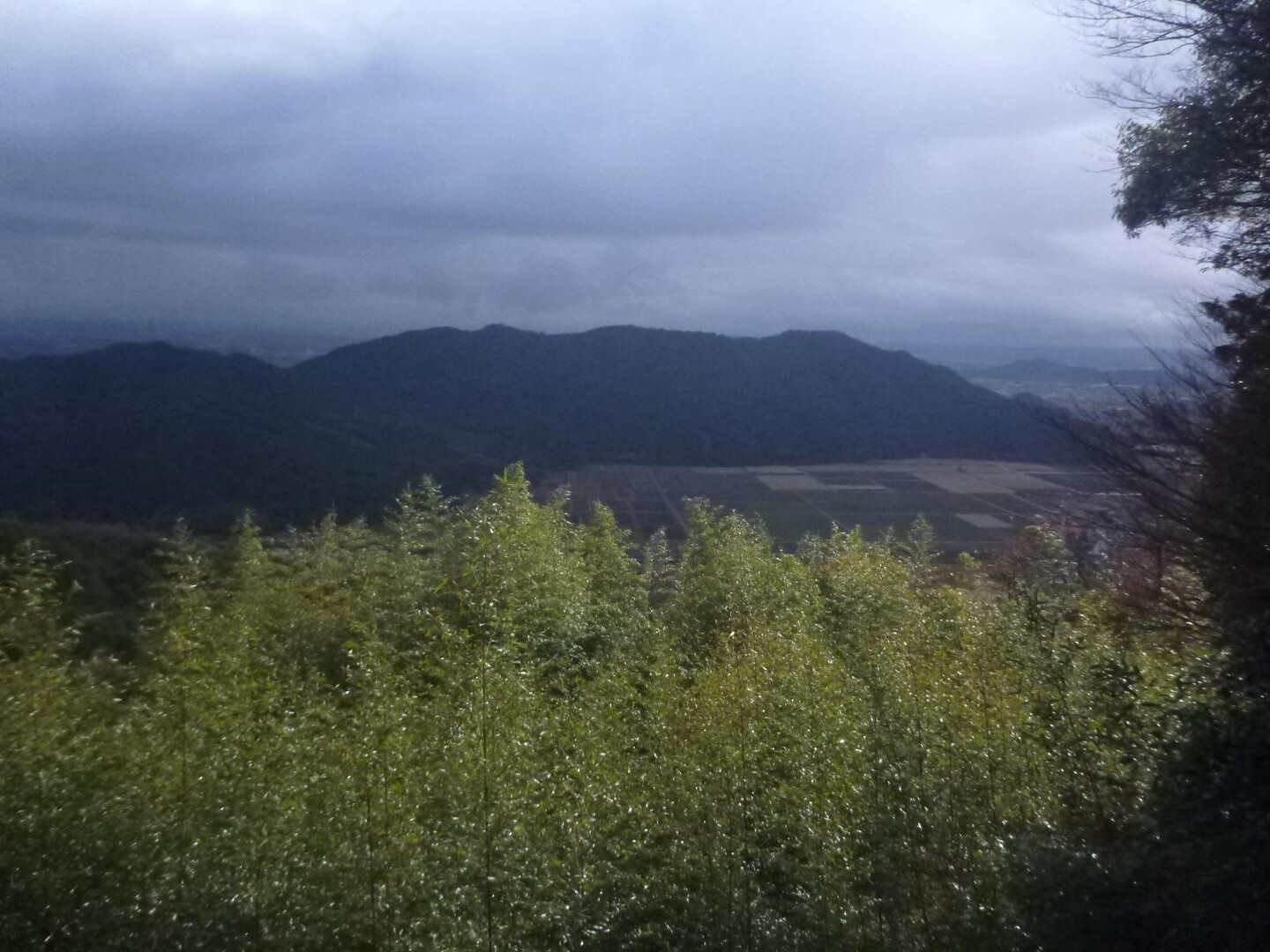2023年は「船岡山」から / Mt.OKA🎃さんの繖山（観音寺山）の活動データ | YAMAP / ヤマップ