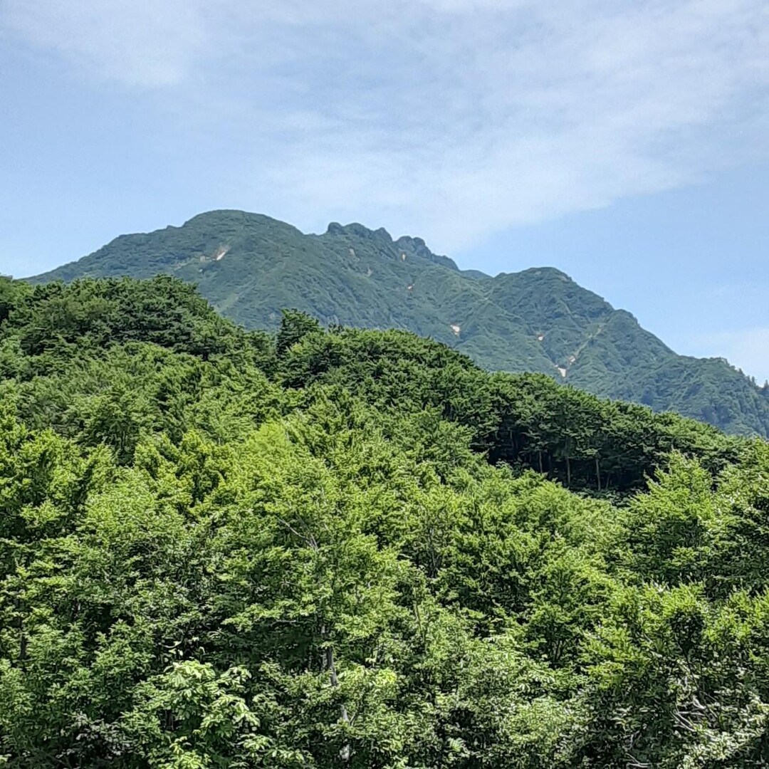 八海山【DNF】 / DKさんの越後駒ヶ岳・八海山・中ノ岳の活動データ | YAMAP / ヤマップ