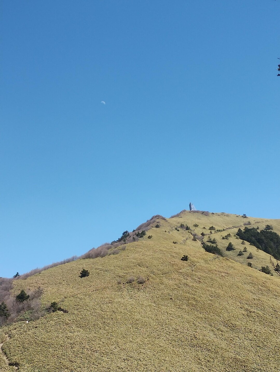 堂ヶ森+α / 42insさんの石鎚山・堂ヶ森・二ノ森の活動データ | YAMAP / ヤマップ