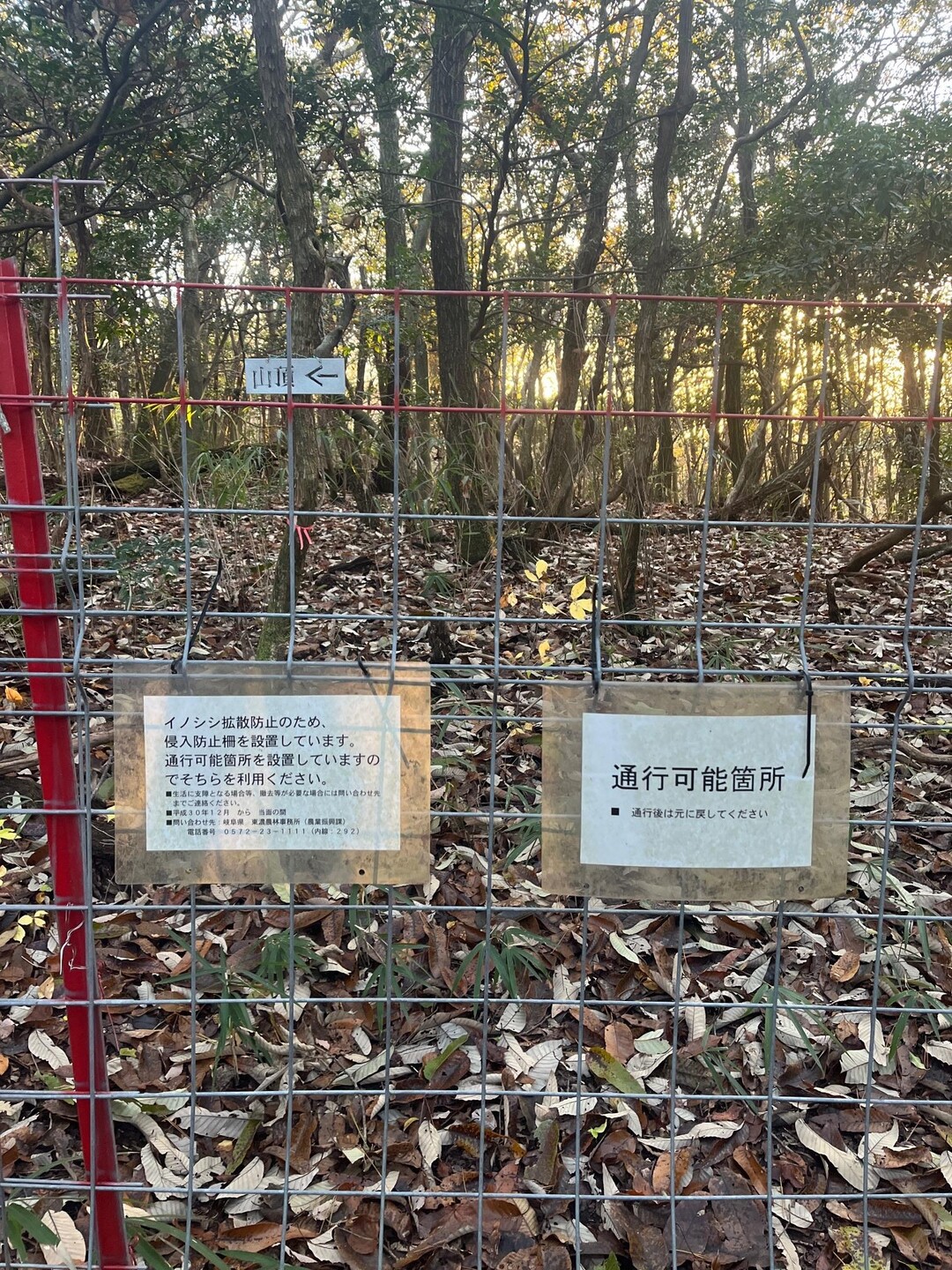 （たった2kmで迷いまくり🤪）丸山 / KSさんの浅間山（美濃富士）の活動データ | YAMAP / ヤマップ