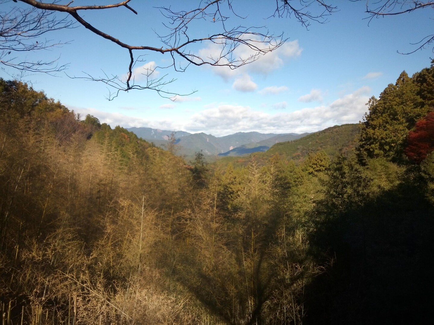 光明山−20231202 / kuronekoさんの光明山の活動データ | YAMAP / ヤマップ