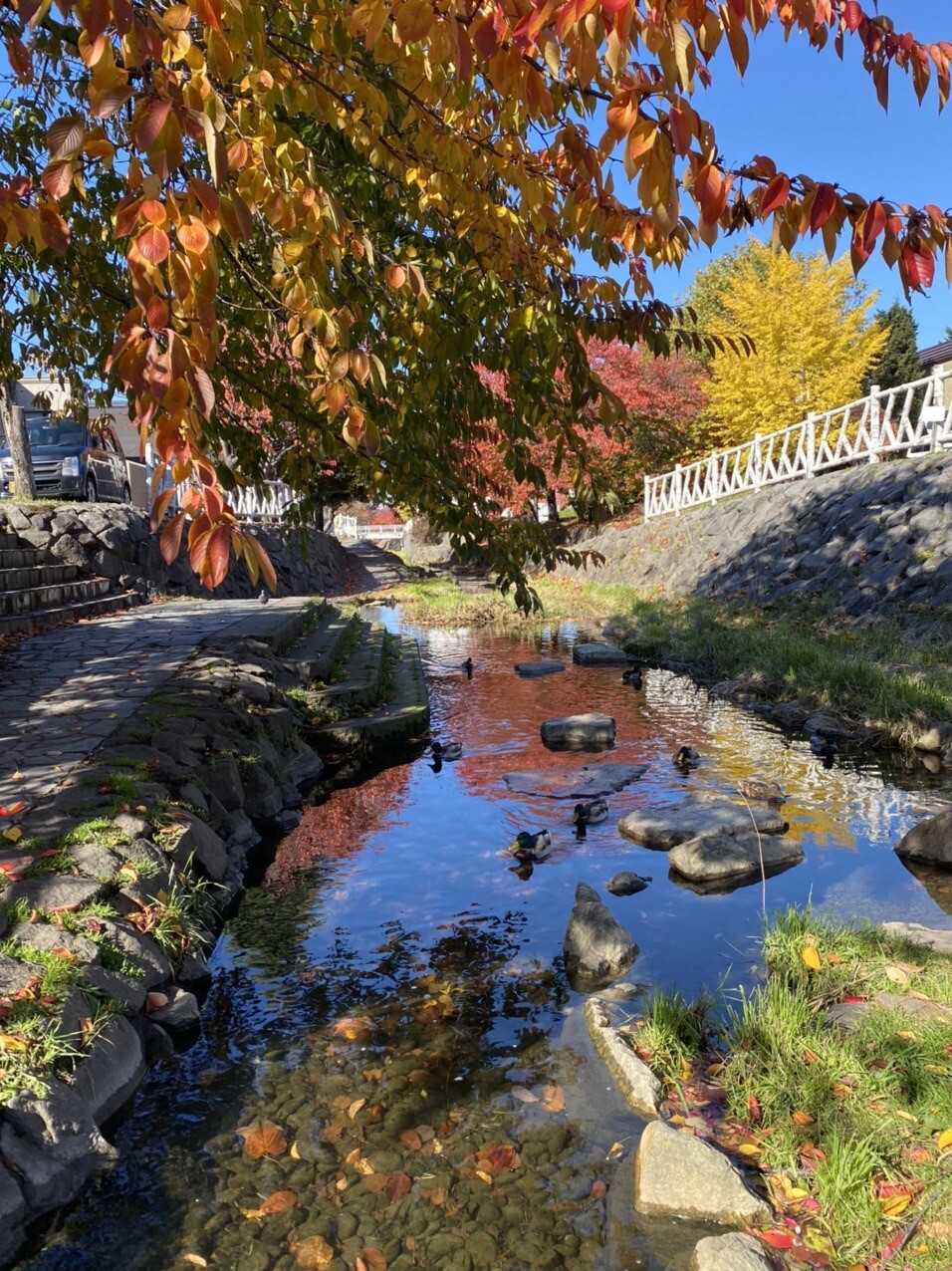 2021.10.30(土) 09:40 / izuming22さんのモーメント | YAMAP / ヤマップ