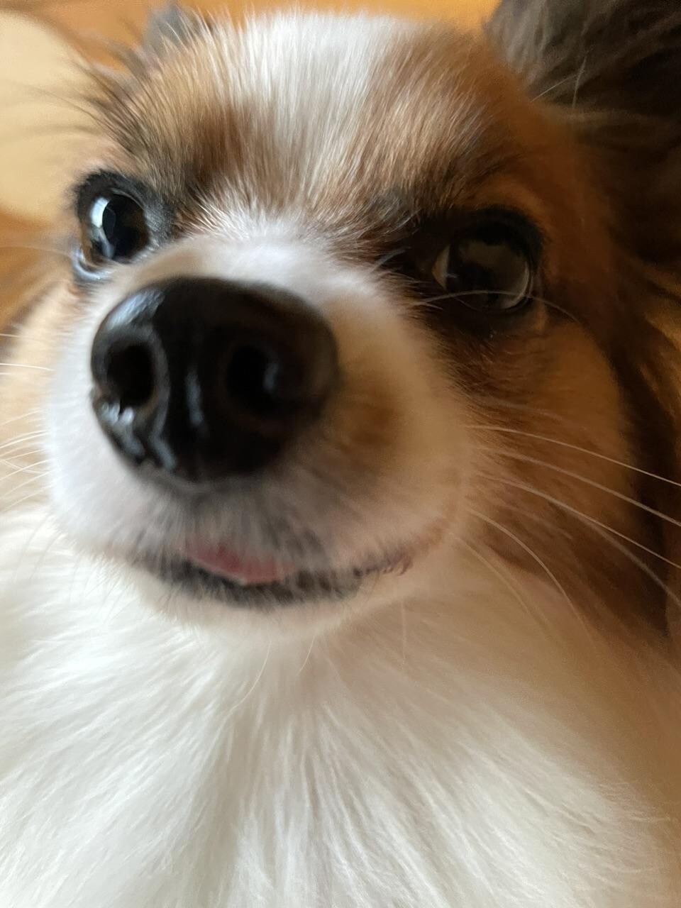 emiのページ | YAMAP / ヤマップ