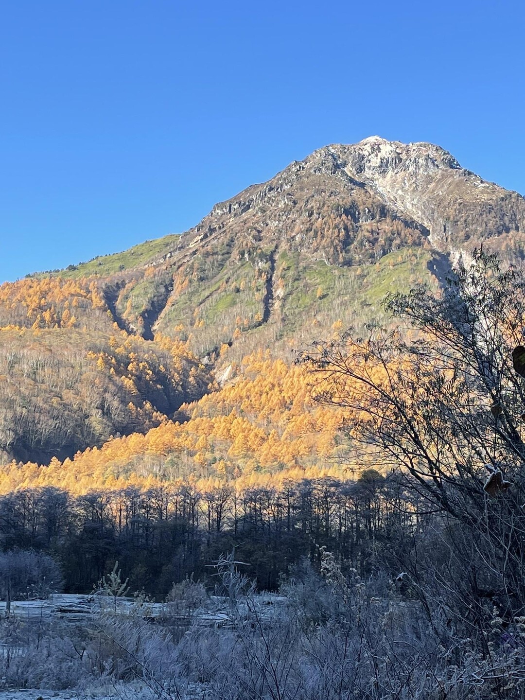 上高地2021 ⑵ / akkoさんのモーメント | YAMAP / ヤマップ