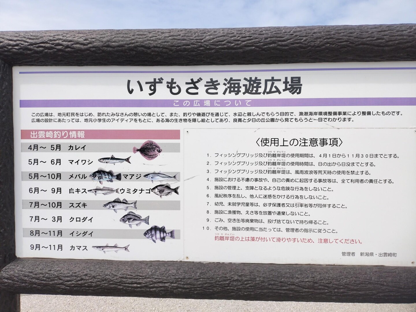 いずもざき海遊広場 寺泊水族館🐟 旦... / nontan さんのモーメント | YAMAP / ヤマップ