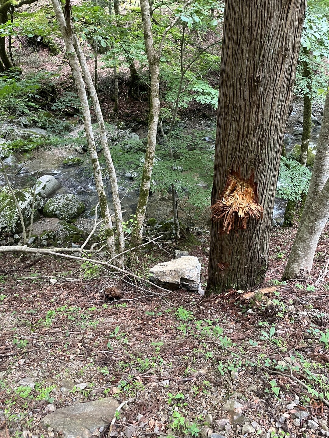 akiraさんの投稿したフィールドメモ | YAMAP / ヤマップ