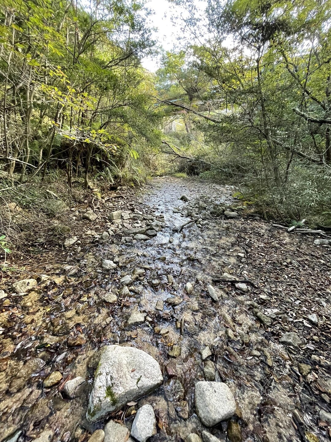 y.kさんの投稿したフィールドメモ | YAMAP / ヤマップ