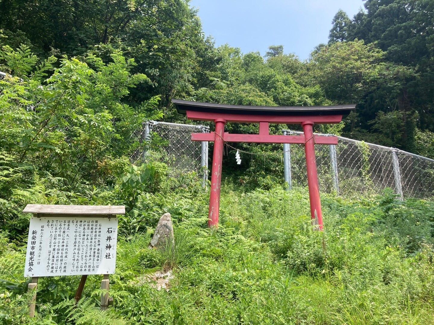 五十公野山(いじみの) / mini98Dさんの五十公野山の活動データ | YAMAP / ヤマップ