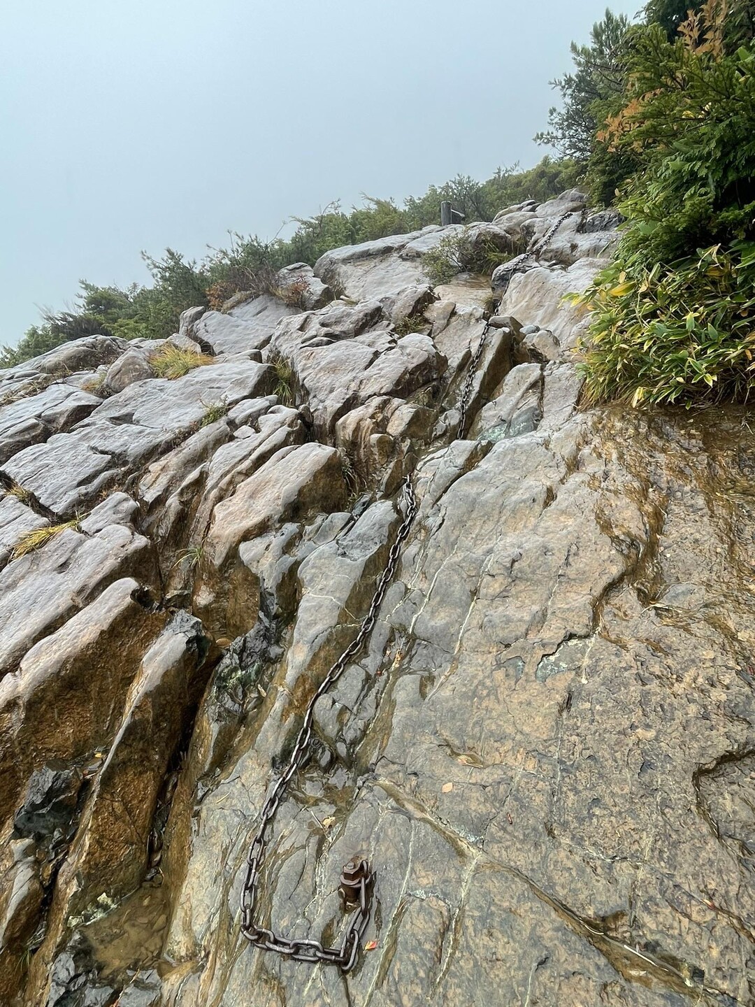 RSさんの投稿したフィールドメモ | YAMAP / ヤマップ