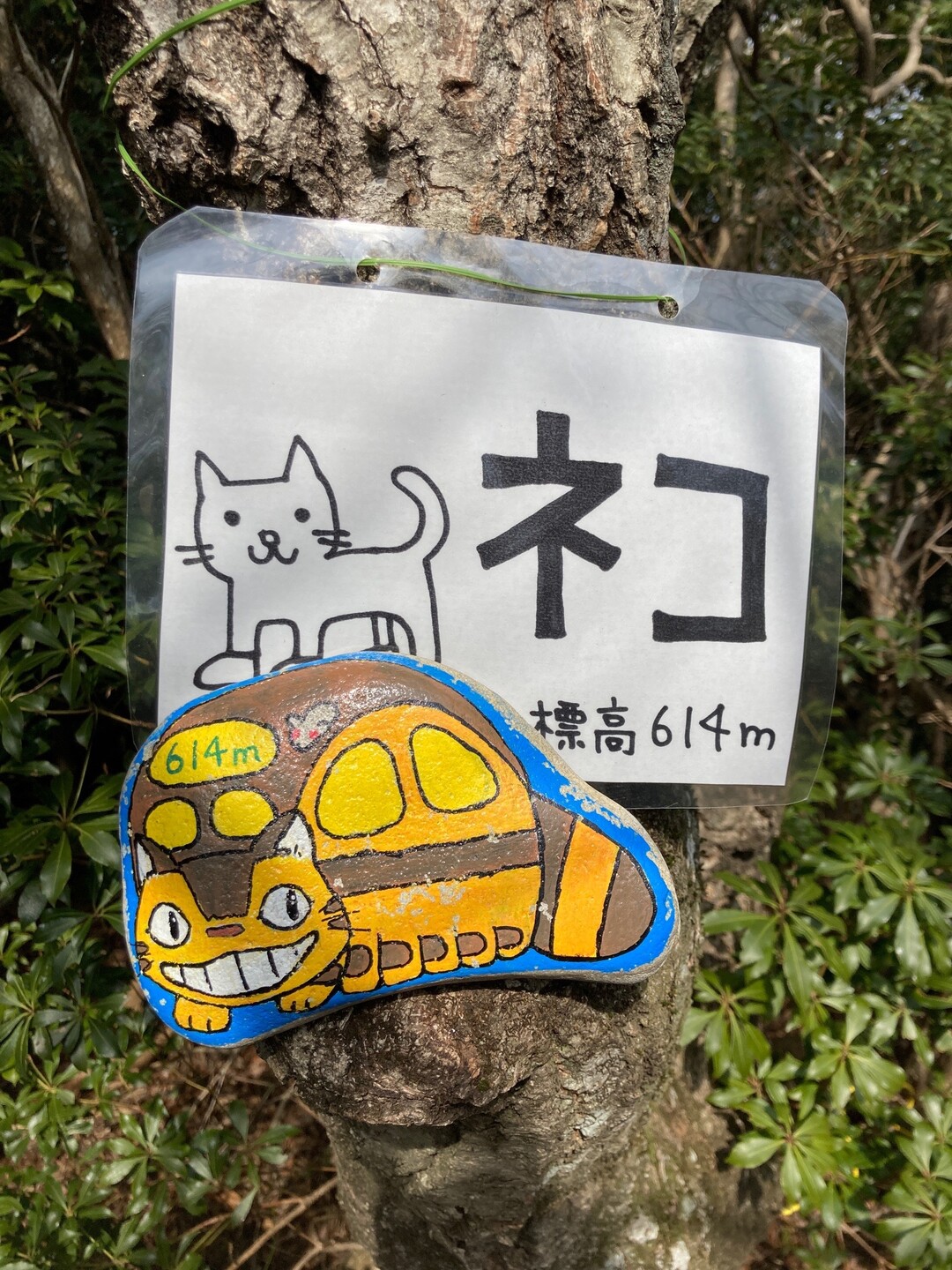 菰野富士・ネコ・笠岳 / doalaさんの御在所岳（御在所山）・雨乞岳の活動データ | YAMAP / ヤマップ