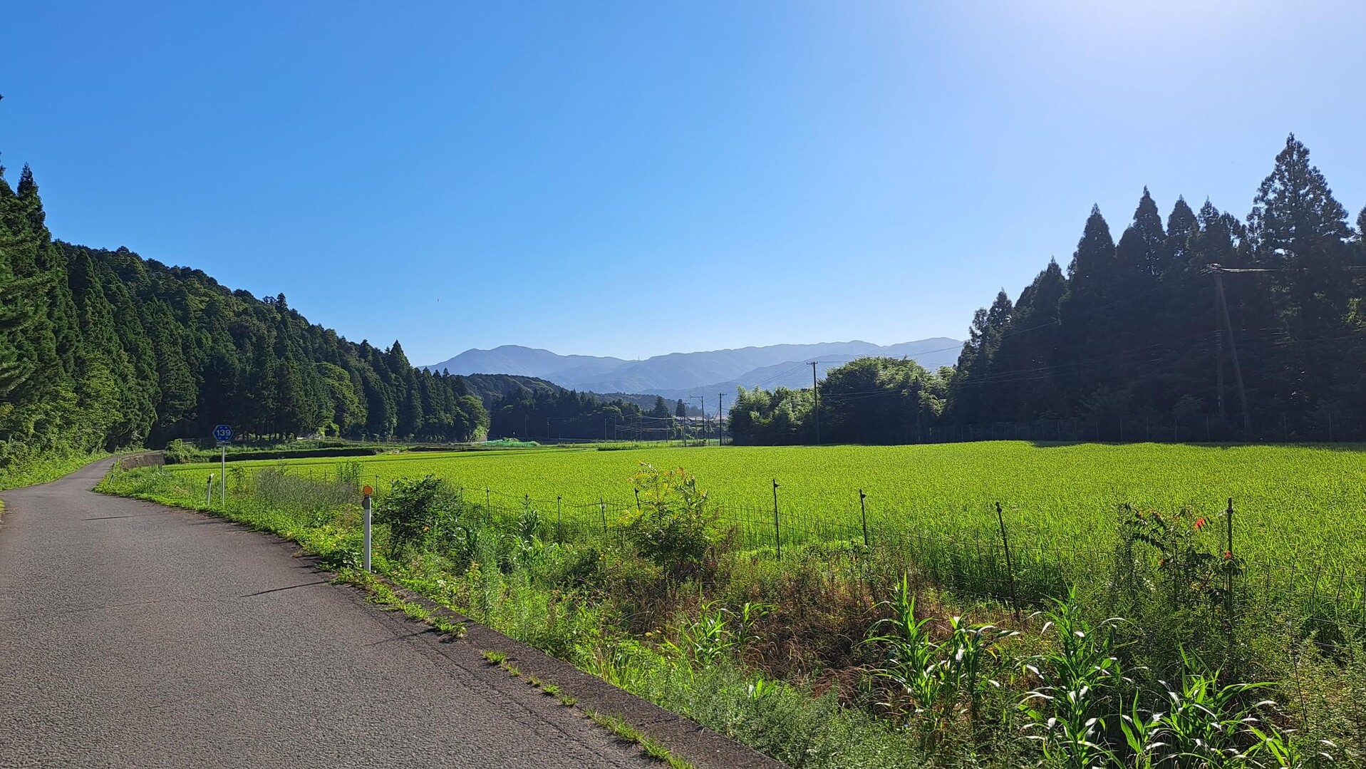 【33-4】ナイトハイク霊仙山通り抜け / YJさんの霊仙山の活動データ | YAMAP / ヤマップ