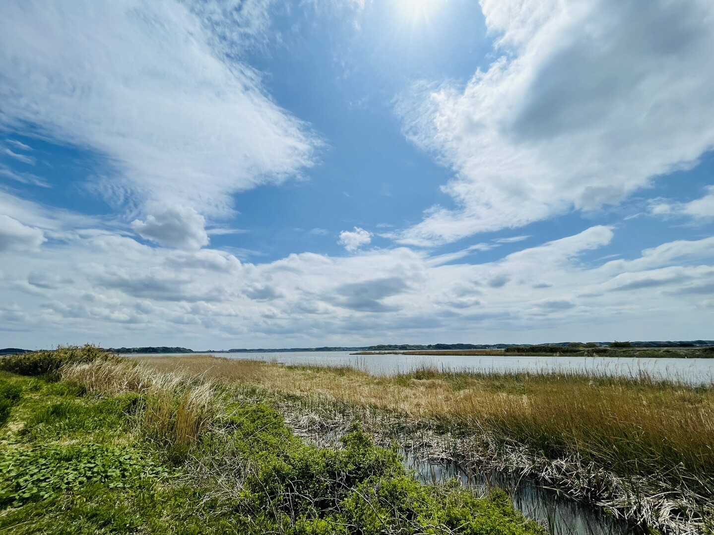 ウォーキングで利根川到達／甚兵衛渡しBS〜印旛沼〜関東ふれあいの道千葉4・28〜長門川〜印旛水門〜利根川 / otouさんの成田市の活動データ | YAMAP / ヤマップ