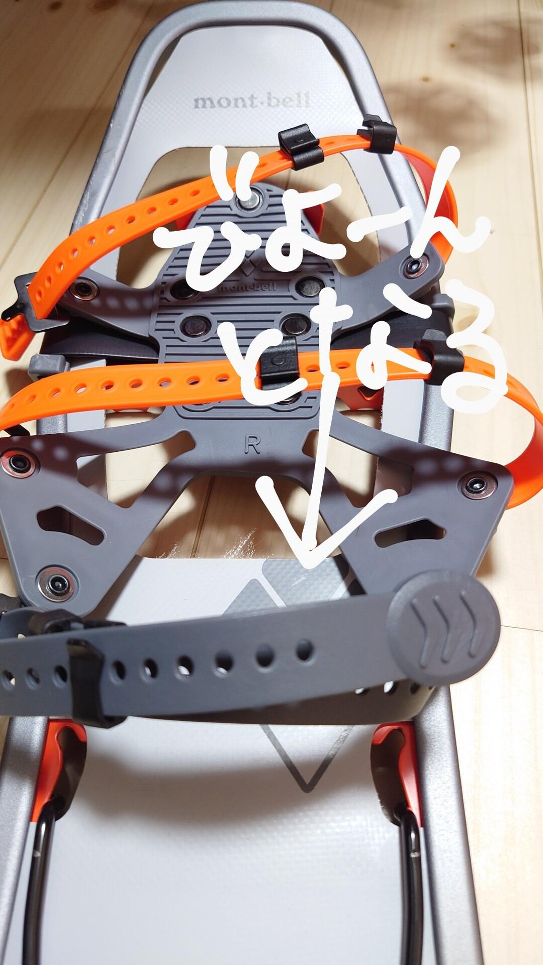 モンベルアルパインスノーシュー56を 後... / POKAさんのモーメント | YAMAP / ヤマップ