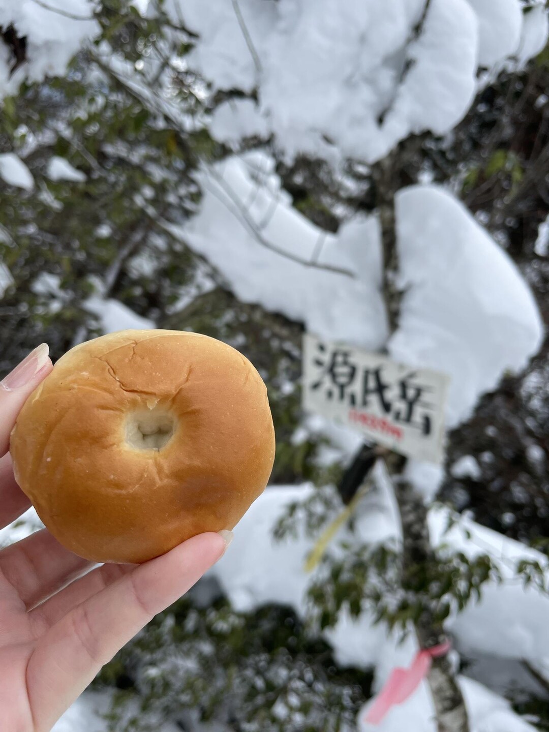 2025年は源氏岳から⛰️ / ハブラシ🪥さんの松倉山・原山の活動データ | YAMAP / ヤマップ