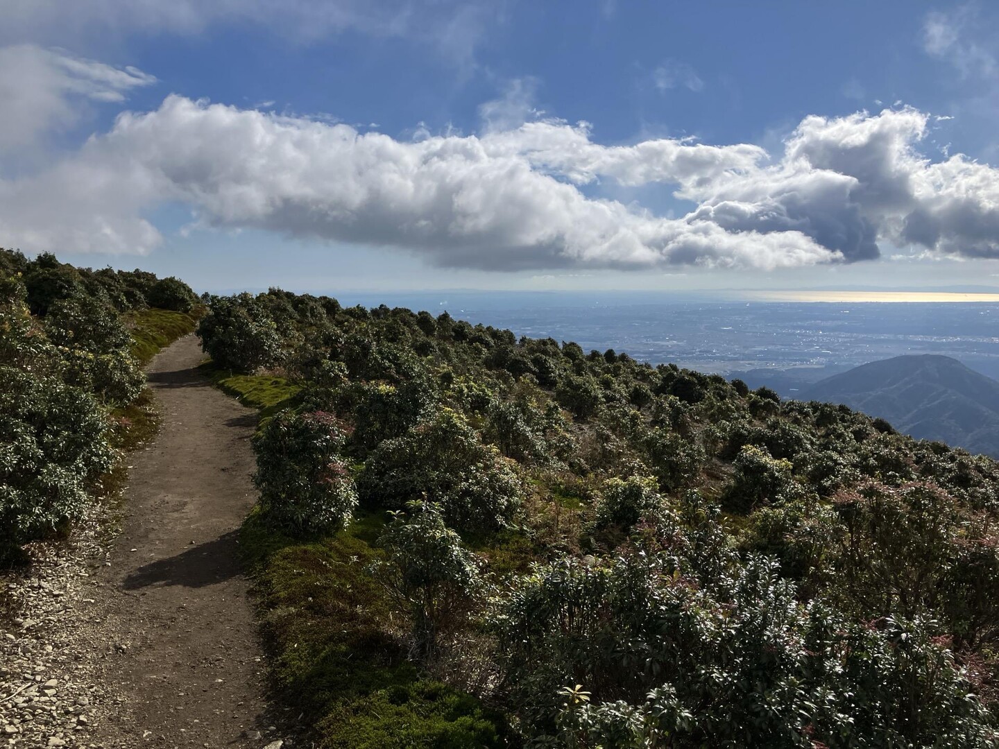 竜ヶ岳/鈴鹿 🐉竜が暴れまくって・・・🌪️ / ryoさんの竜ヶ岳の活動日記 | YAMAP / ヤマップ