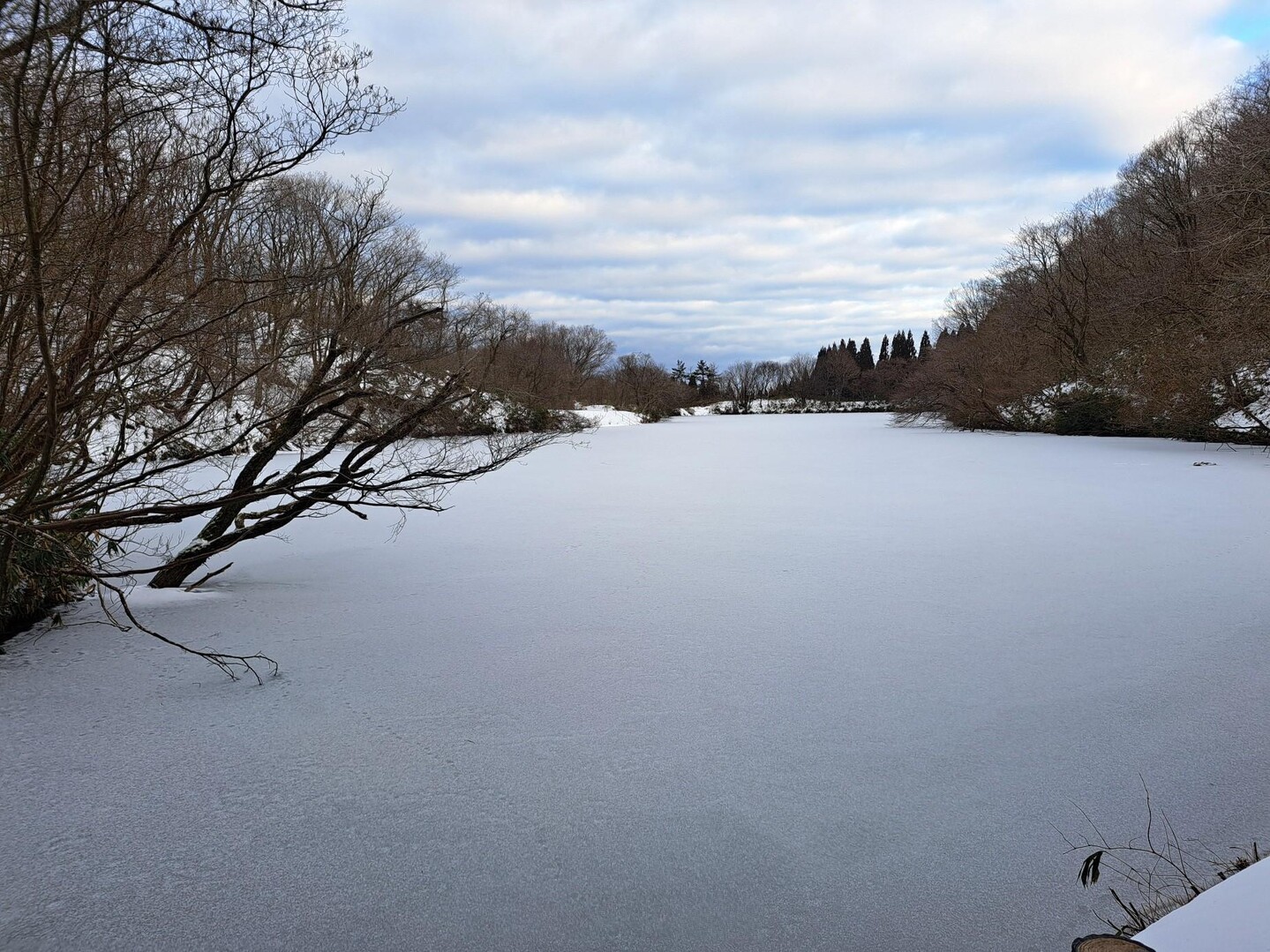 冬のゼロ宝達山 / tottinさんの宝達山の活動データ | YAMAP / ヤマップ