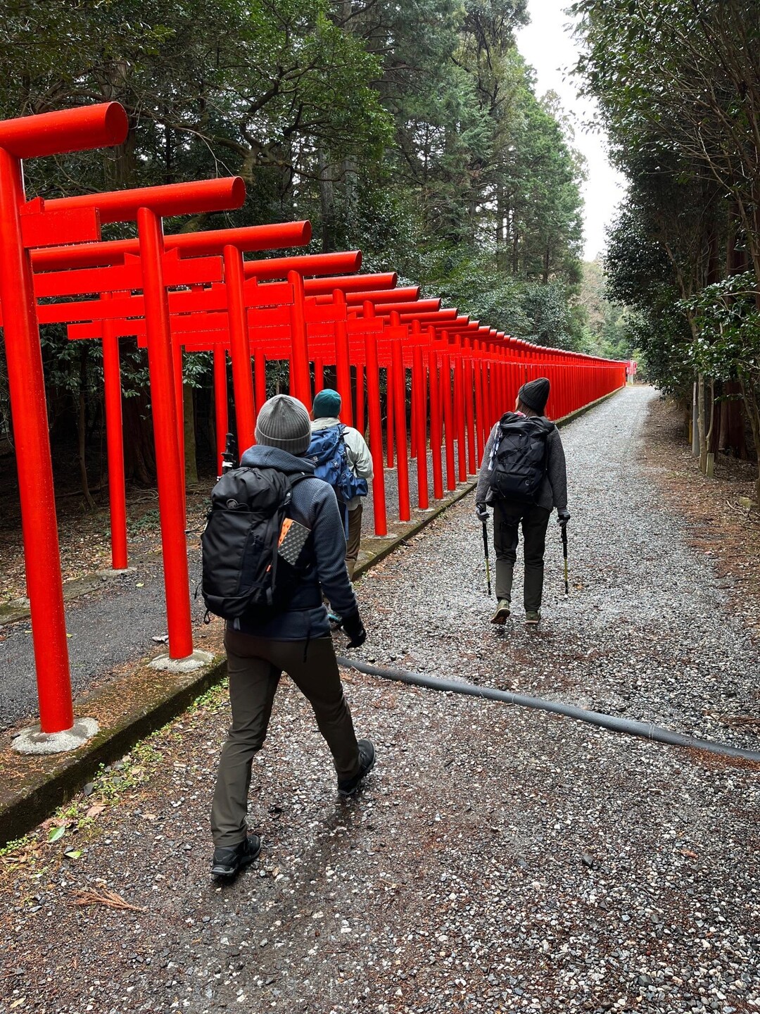 南宮山 / HIROTOさんの南宮山・象鼻山の活動データ | YAMAP / ヤマップ