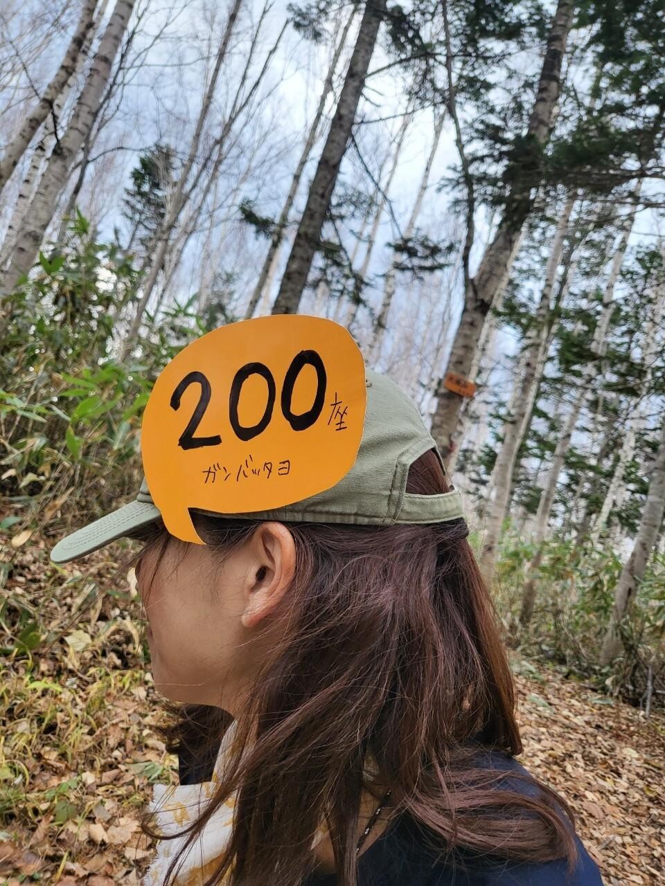 小樽天狗山199・大曲山200座 ・於古発山・遠藤山 / まーゆぃさんの塩谷丸山・於古発山の活動データ | YAMAP / ヤマップ