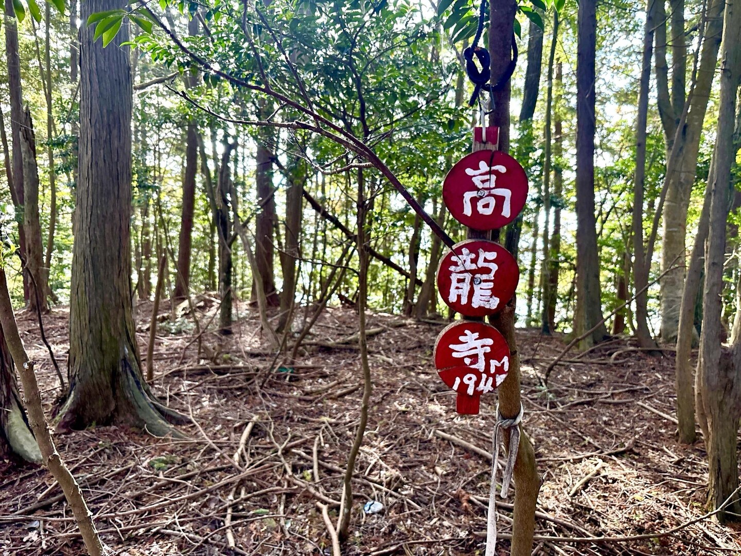 🐲高龍寺山🐲2024 DRAGON TRAIL㉖ / Lucky Jr.さんの烏ヶ岳・鬼ヶ城の活動データ | YAMAP / ヤマップ