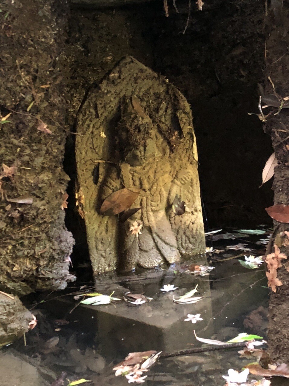 💦クールダウン💦@奥伊勢 宮川-2021-05-23 / namisuke🐝さんの宮川の活動データ | YAMAP / ヤマップ