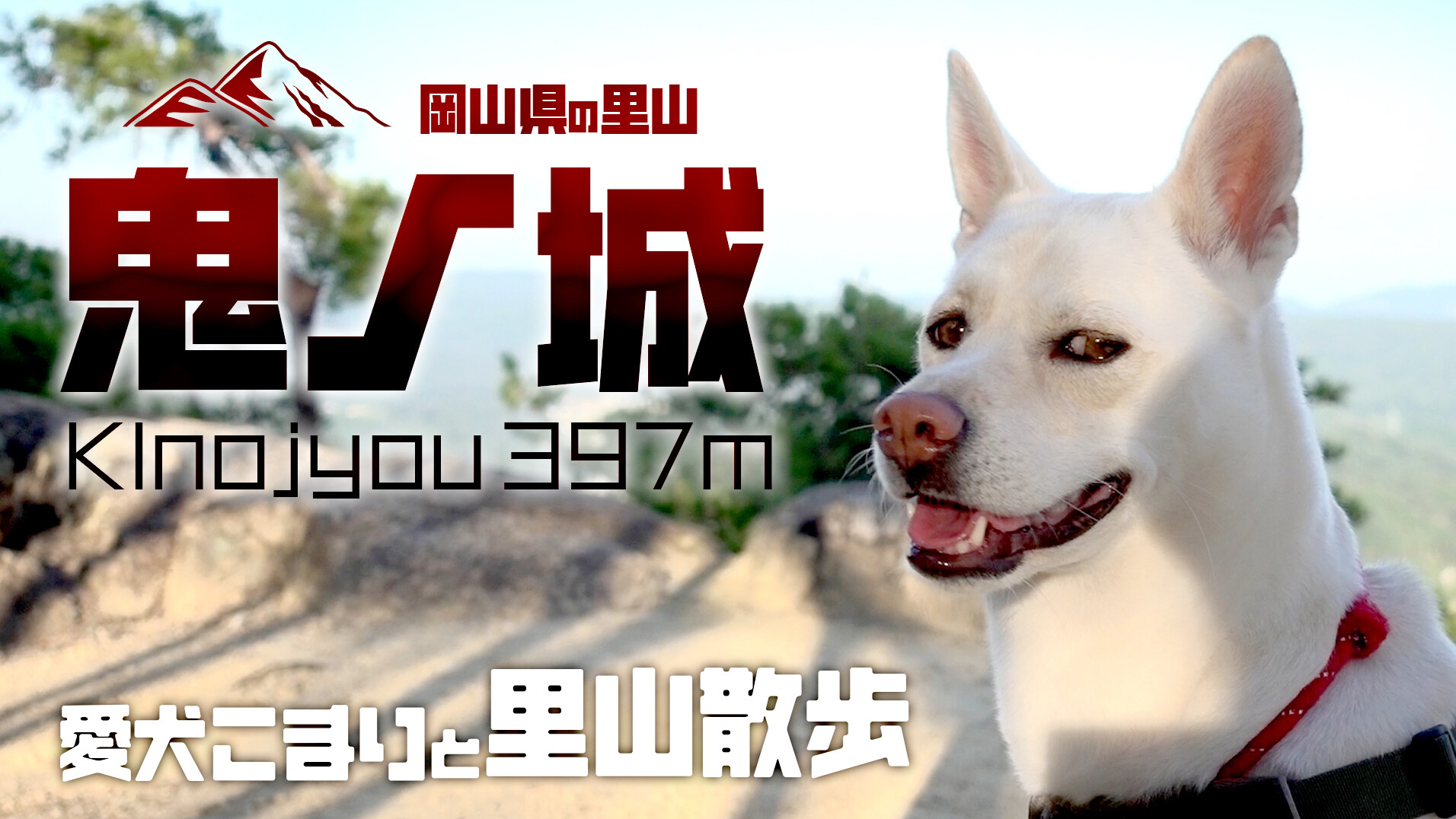 鬼城山 / HIGE（SOU）さんの鬼ノ城（鬼城山）の活動データ | YAMAP / ヤマップ