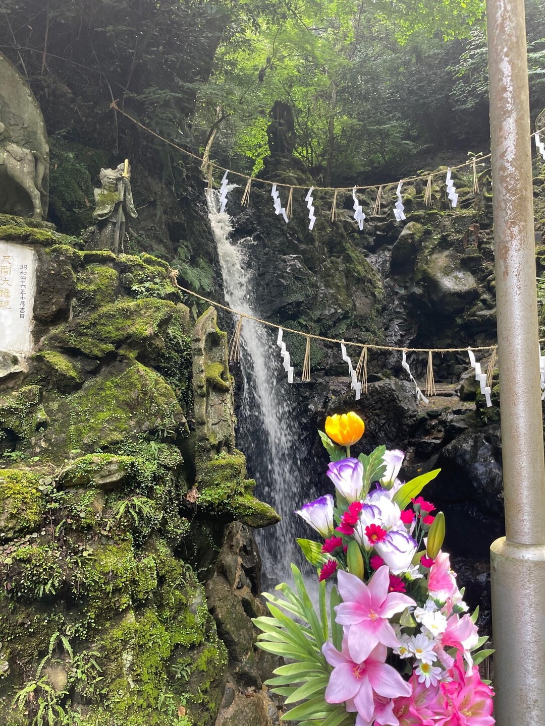 若杉山・岳城山 / BP5さんの宝満山・三郡山・若杉山の活動データ | YAMAP / ヤマップ