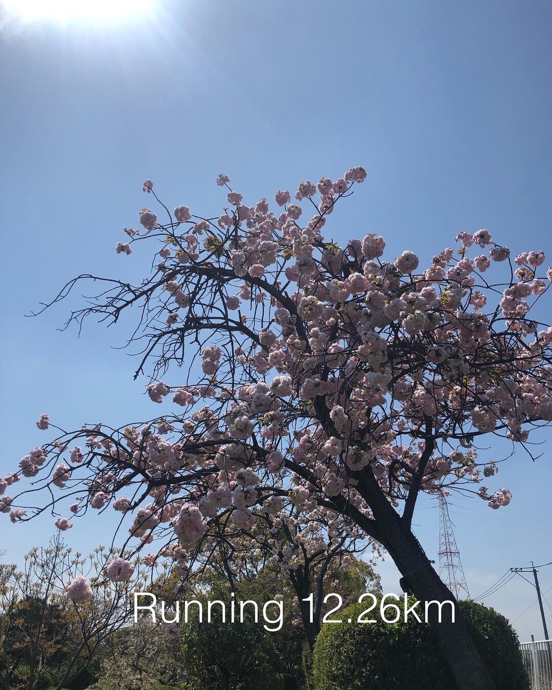 多布施川 running / ra_nさんのランニングの活動データ | YAMAP / ヤマップ