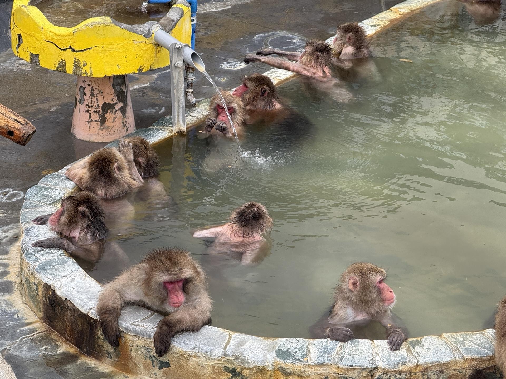 函館観光☔️ / MIO探検隊さんのモーメント | YAMAP / ヤマップ