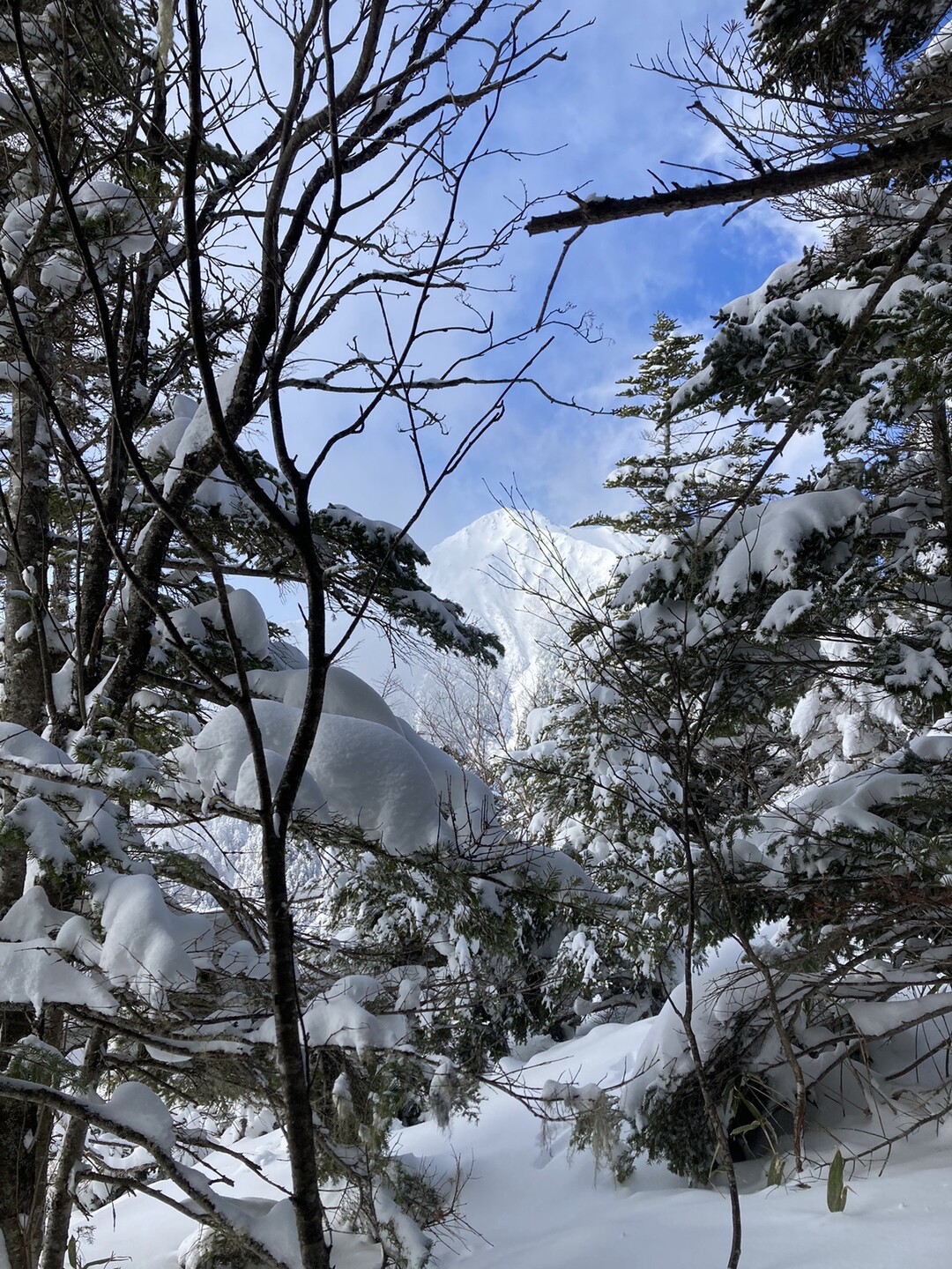 Holovitzさんの投稿したフィールドメモ | YAMAP / ヤマップ