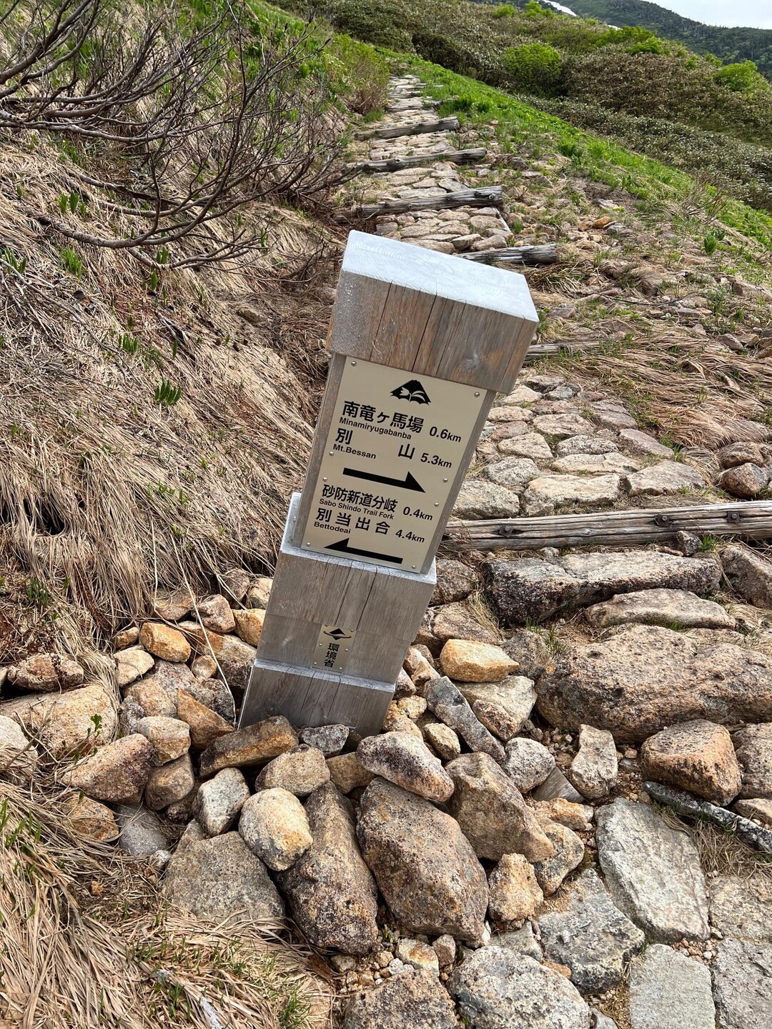 サナギですさんの投稿したフィールドメモ | YAMAP / ヤマップ