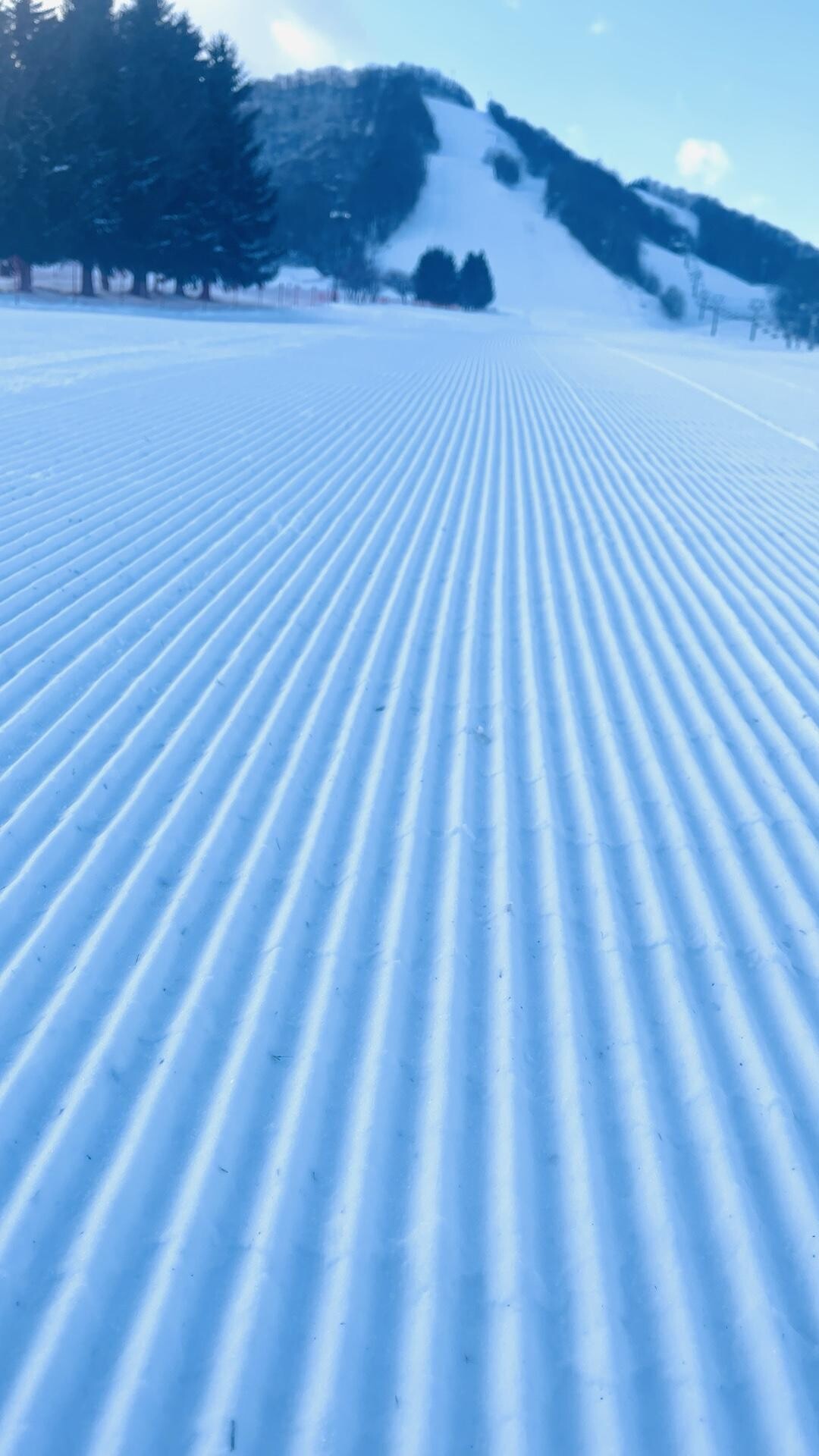 3回目、4回目のレッスン⛷ 脚ガクガク:... / 𝓚𝓪𝓸 ᨒ𖡼.𖤣𖥧𓅪さんのモーメント | YAMAP / ヤマップ