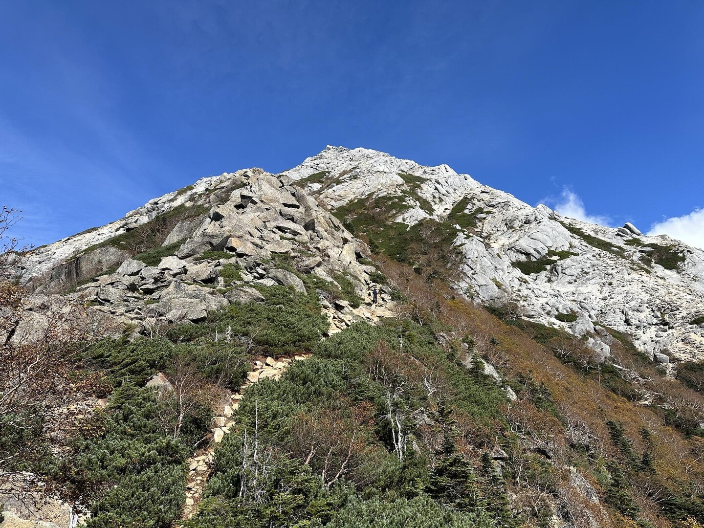 甲斐駒ヶ岳⭐︎雷鳥に会えた / ろんちゃんさんの登山の活動データ | YAMAP / ヤマップ