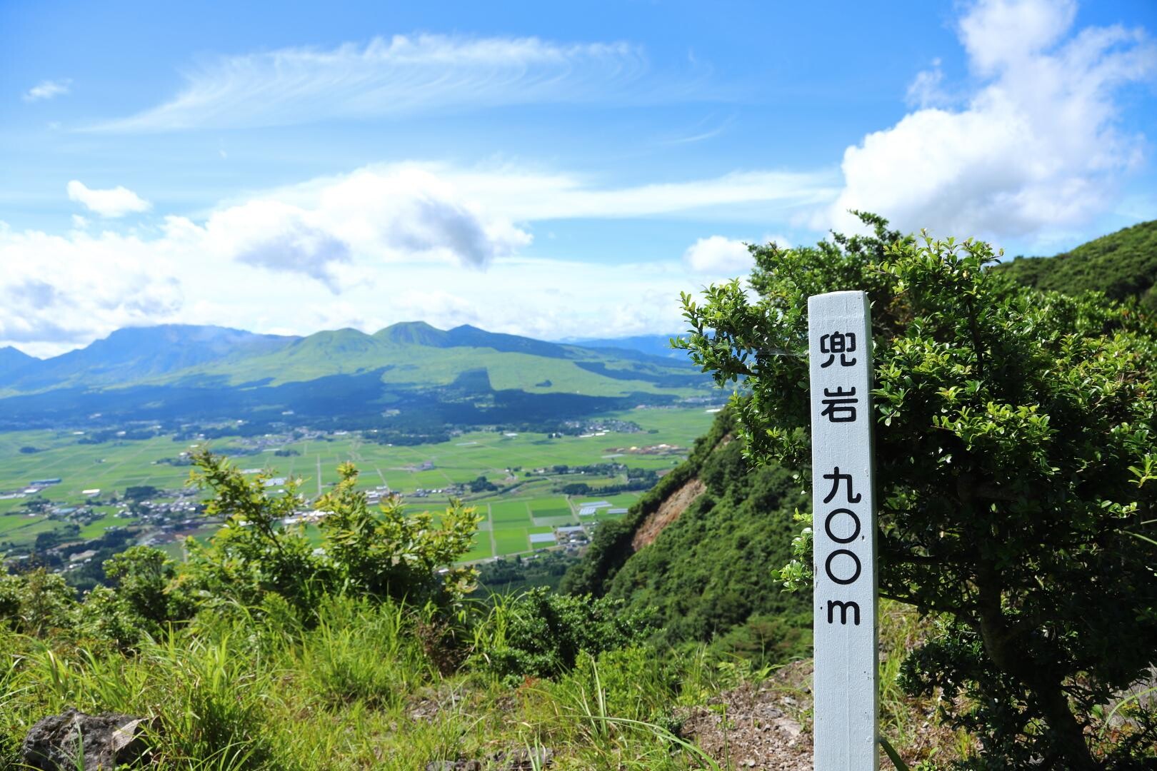 またしてもノアザミ地獄 兜岩・田子山 / yavさんの田子山の活動データ | YAMAP / ヤマップ