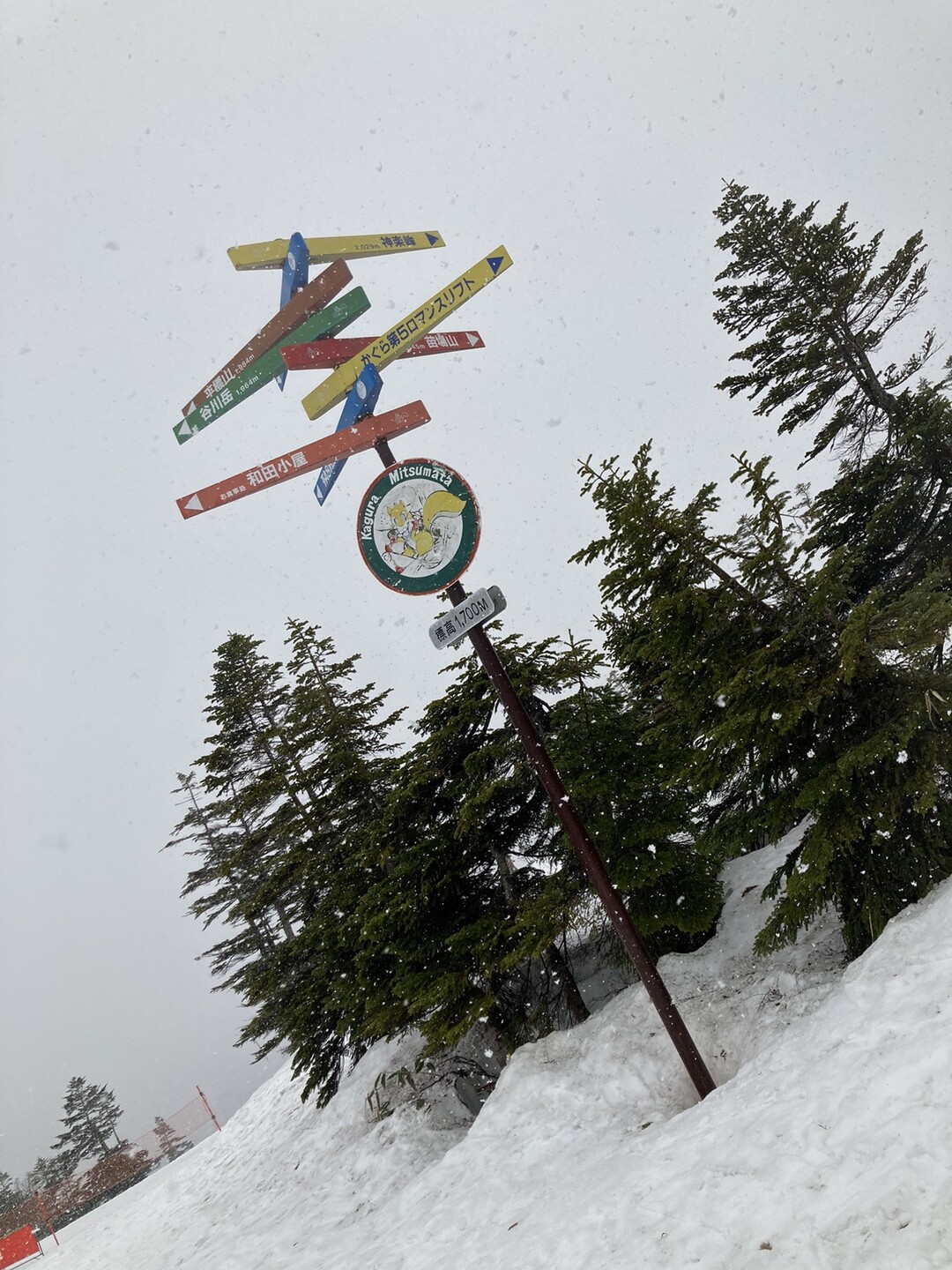 ラスト☃️☃️☃️『春スキー』☃️☃️☃️☃️ ️☔️まさかの〜☔️ ️『かぐらみつまたスキー場』 / ともさんのスキーの活動データ | YAMAP / ヤマップ