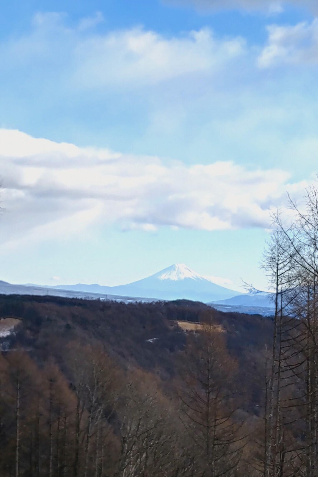ようやく行けた登り初めは大見山 / Y-Yuccaさんの大見山の活動データ | YAMAP / ヤマップ