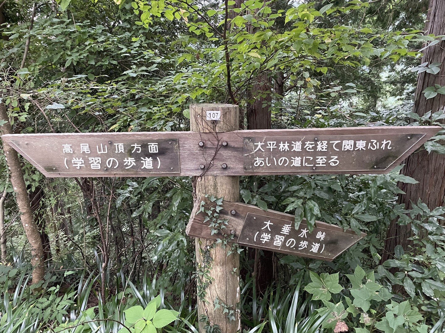 tskさんの投稿したフィールドメモ | YAMAP / ヤマップ