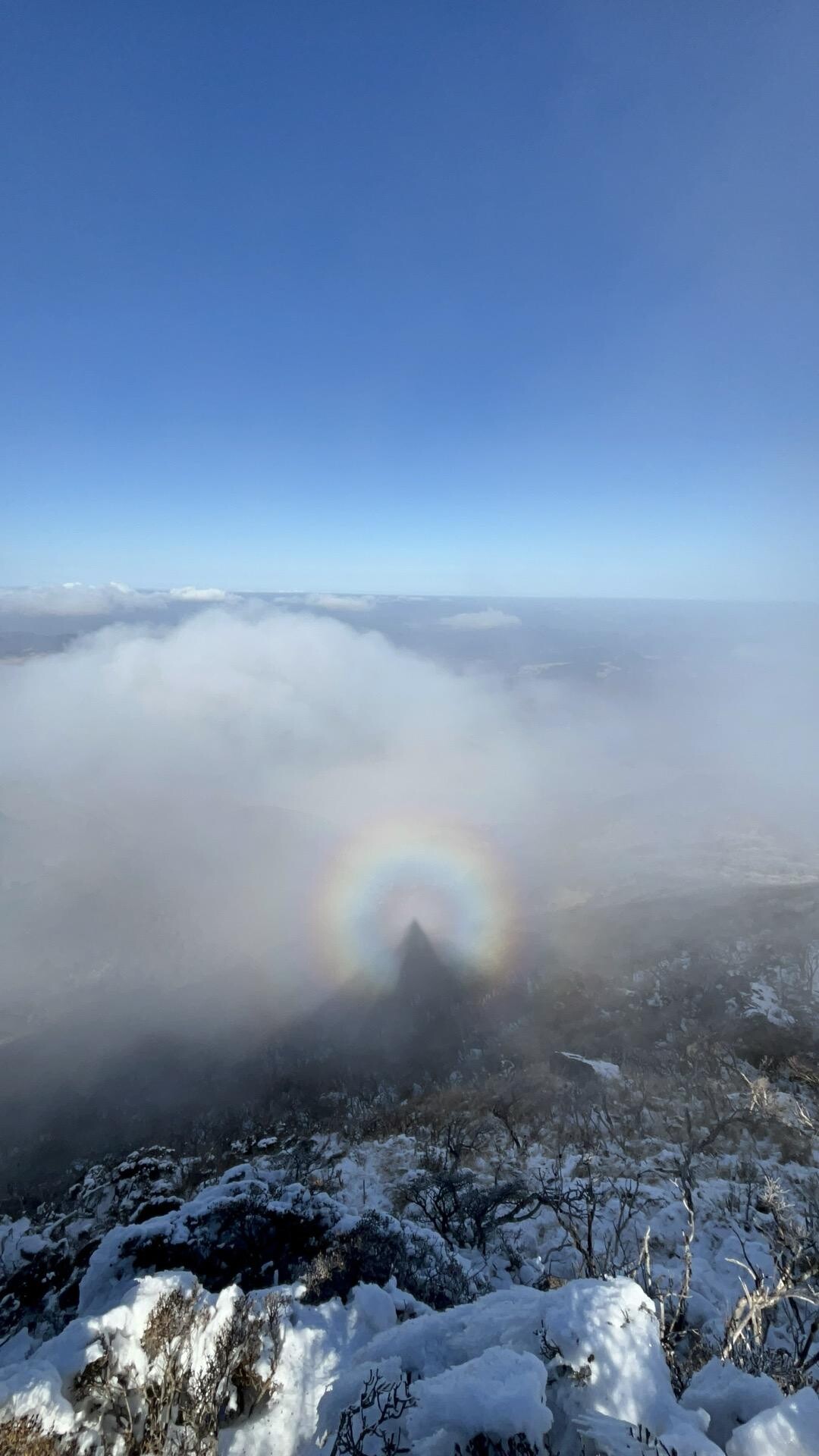 ﾌﾞﾛｯｹﾝ現象🌈@由布岳(大分) 2... / ryu_ich1さんのモーメント | YAMAP / ヤマップ