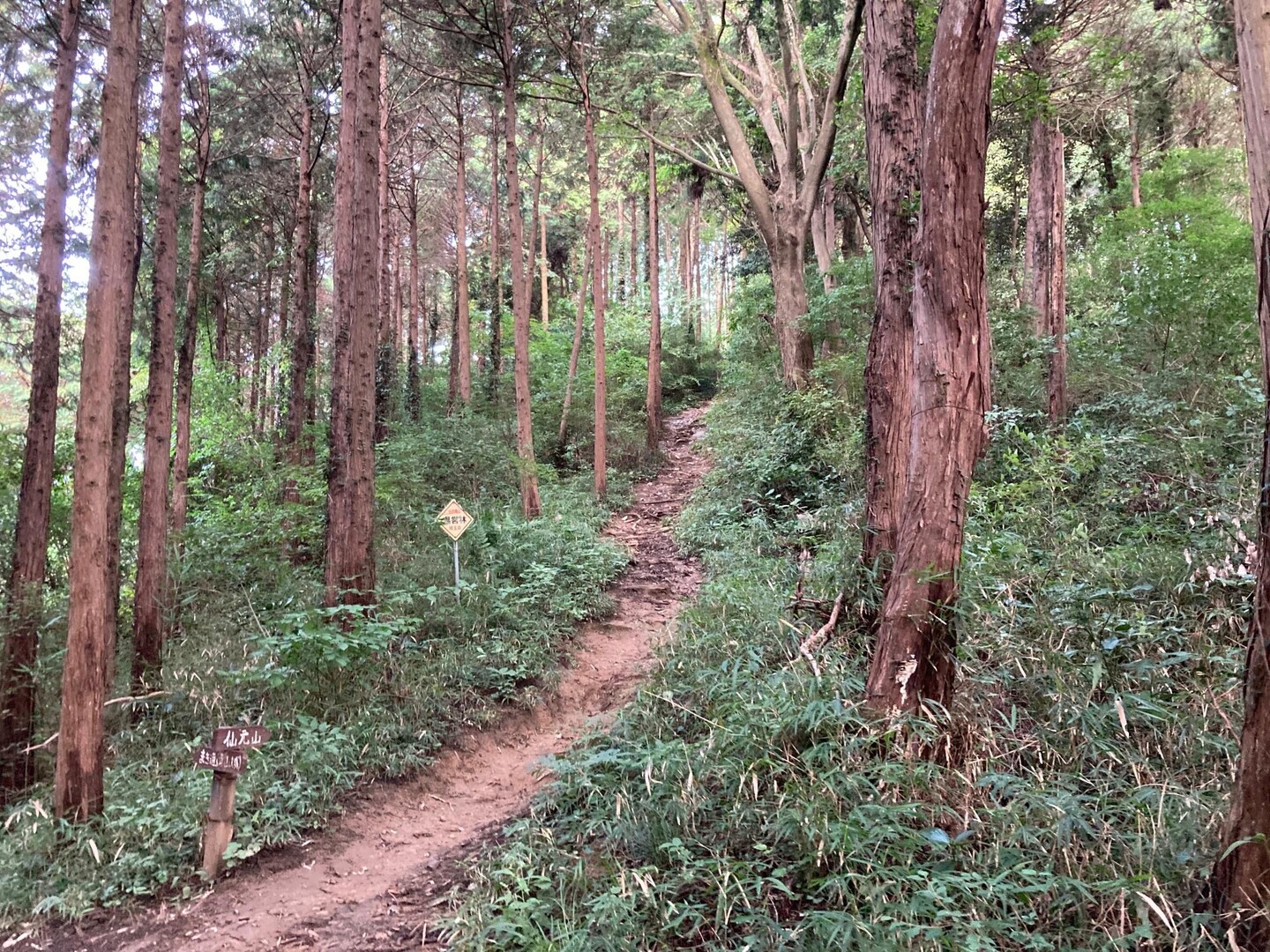 taoさんの投稿したフィールドメモ | YAMAP / ヤマップ