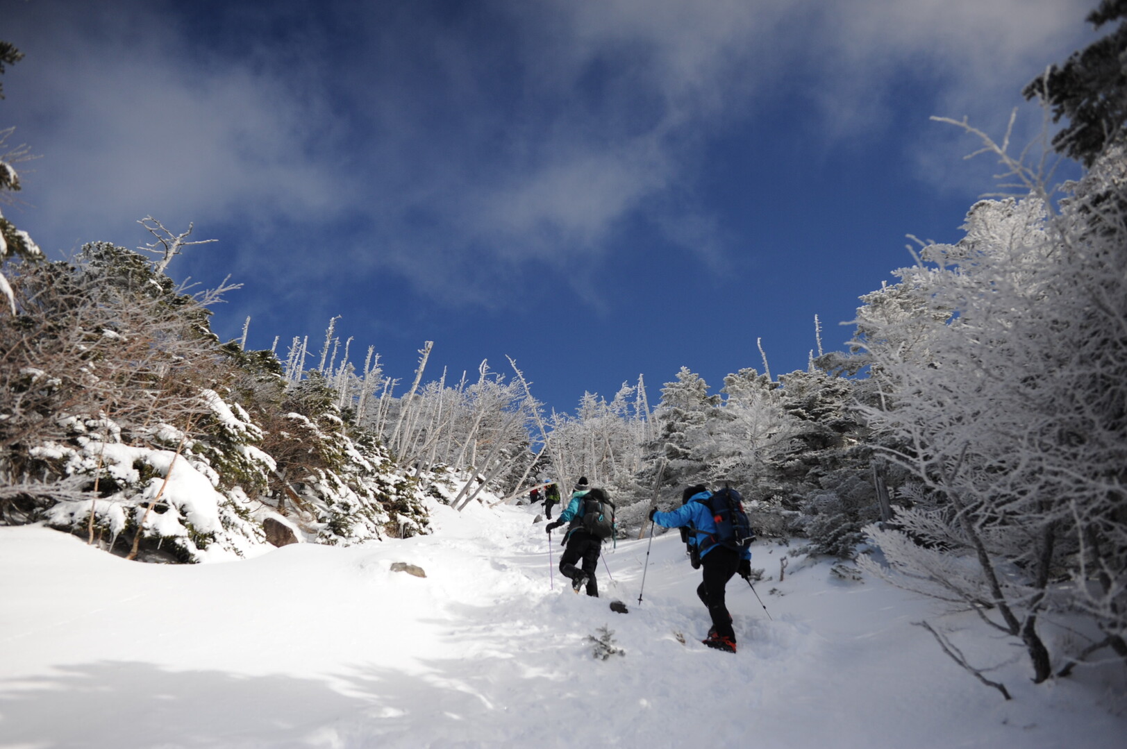 2ヶ月ぶりの高低差800mにバテる…。 / ヨッシマンさんの蓼科山・横岳・縞枯山の活動日記 | YAMAP / ヤマップ